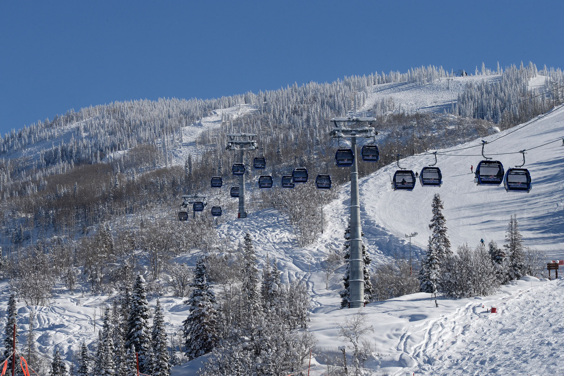 Into the champagne powder at high speed